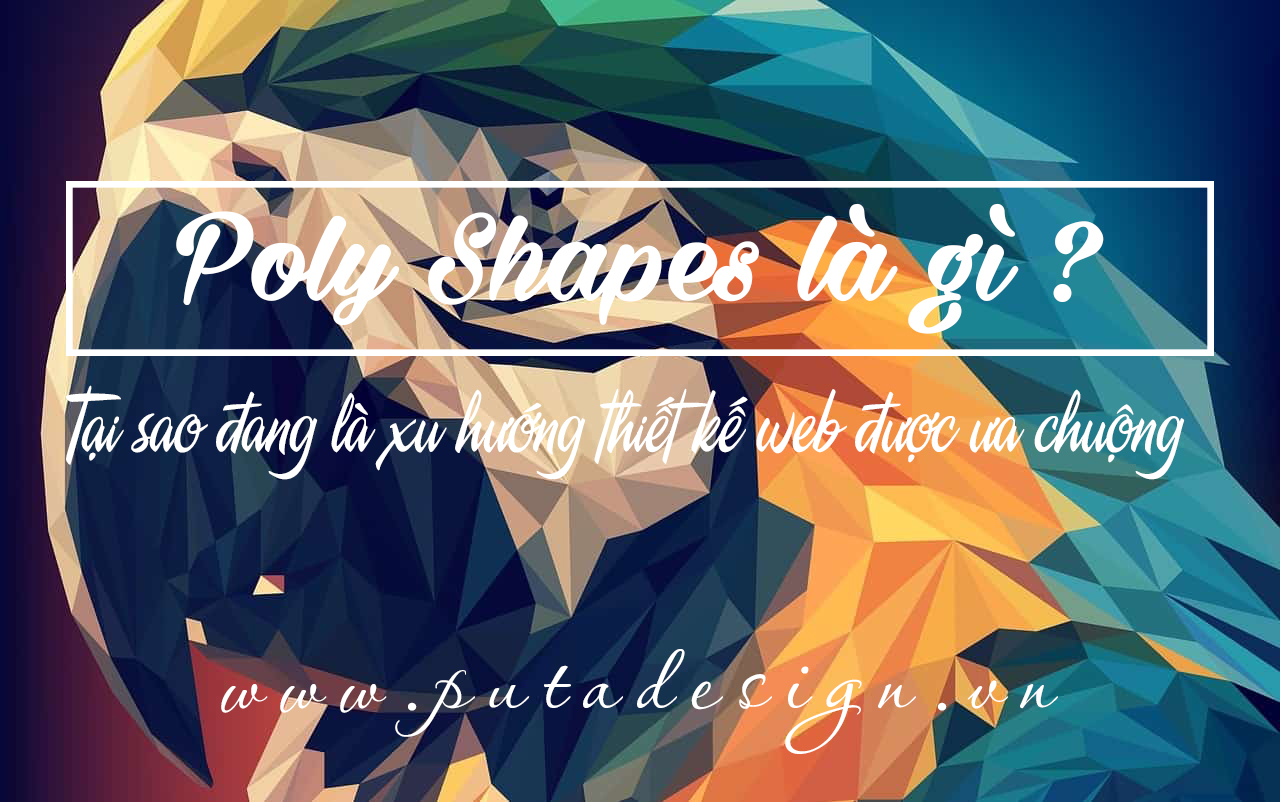Poly Shapes là gì ? Tại sao đang là xu hướng thiết kế web được ưa ...